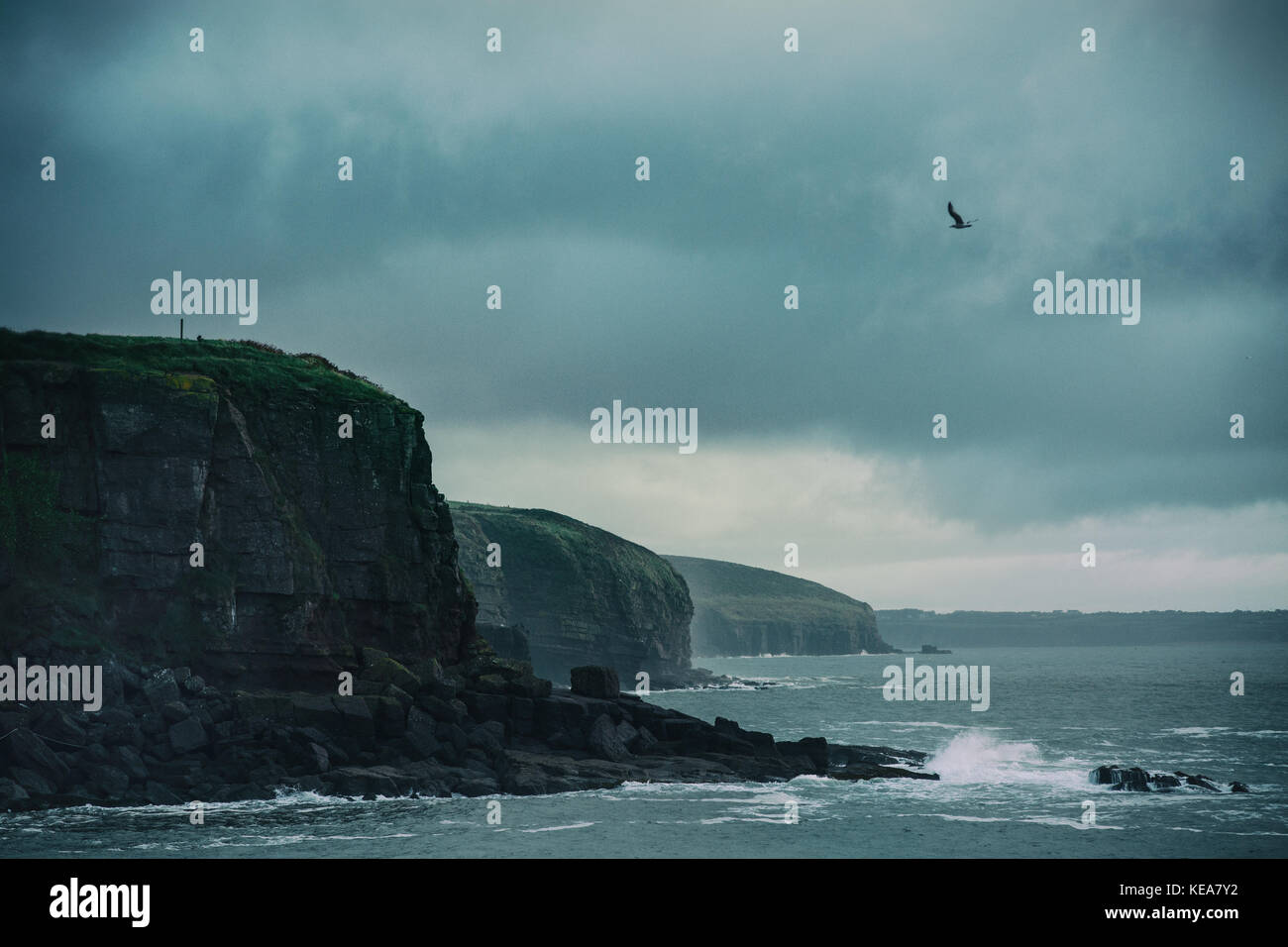 Cliffs of Dunmore East, Ireland Stock Photo - Alamy