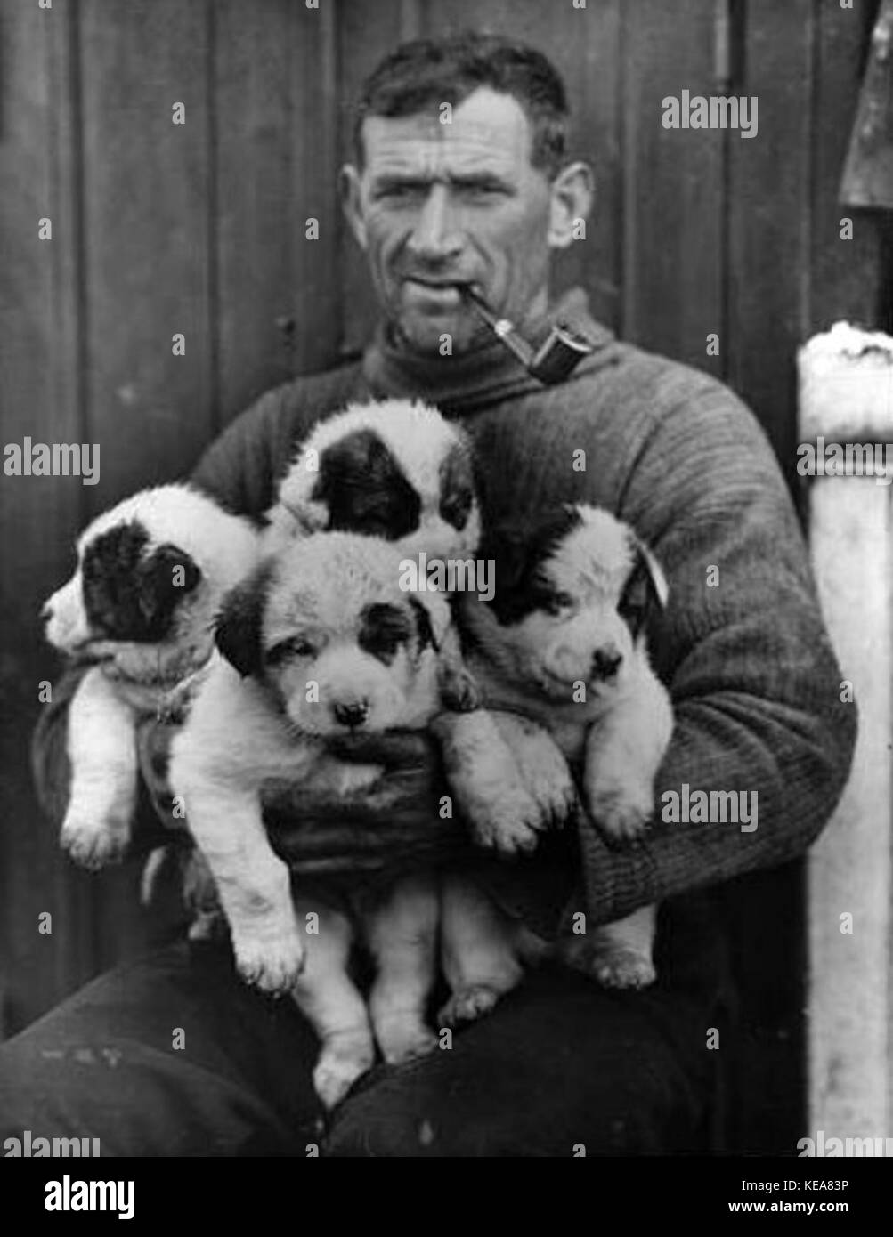 Tom crean hi-res stock photography and images - Alamy