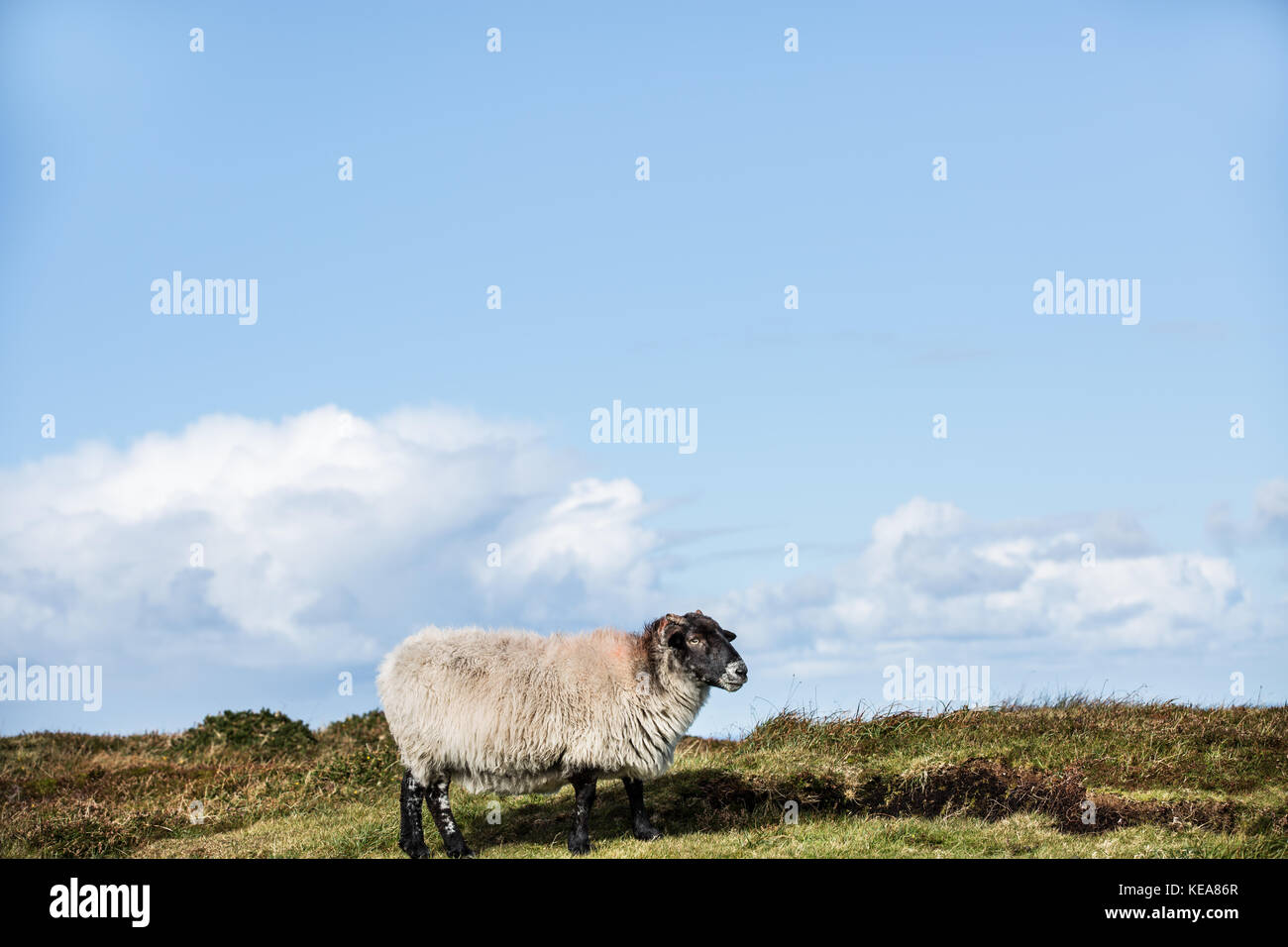 Brandon point hi-res stock photography and images - Alamy