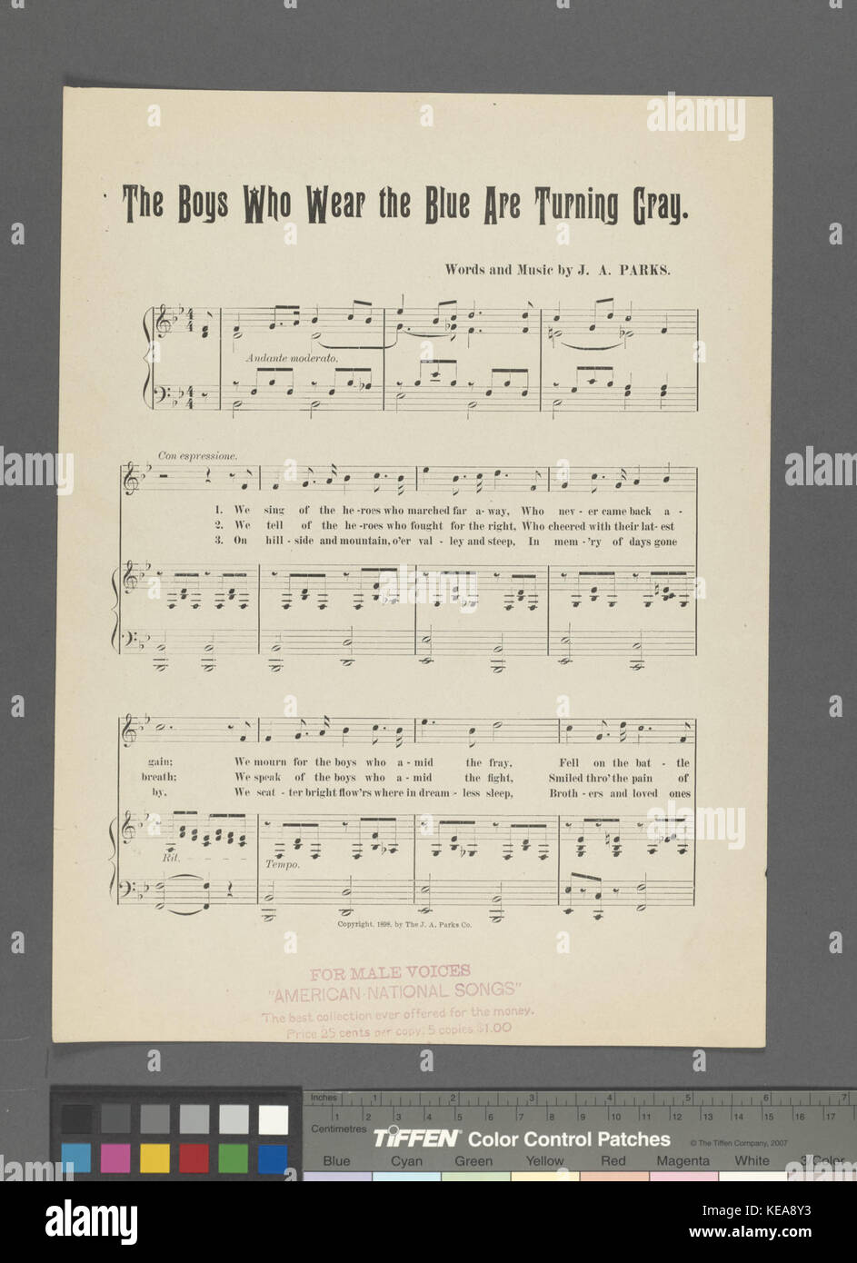 The boys who wear the blue are turning gray (NYPL Hades 610075 1800614 ...