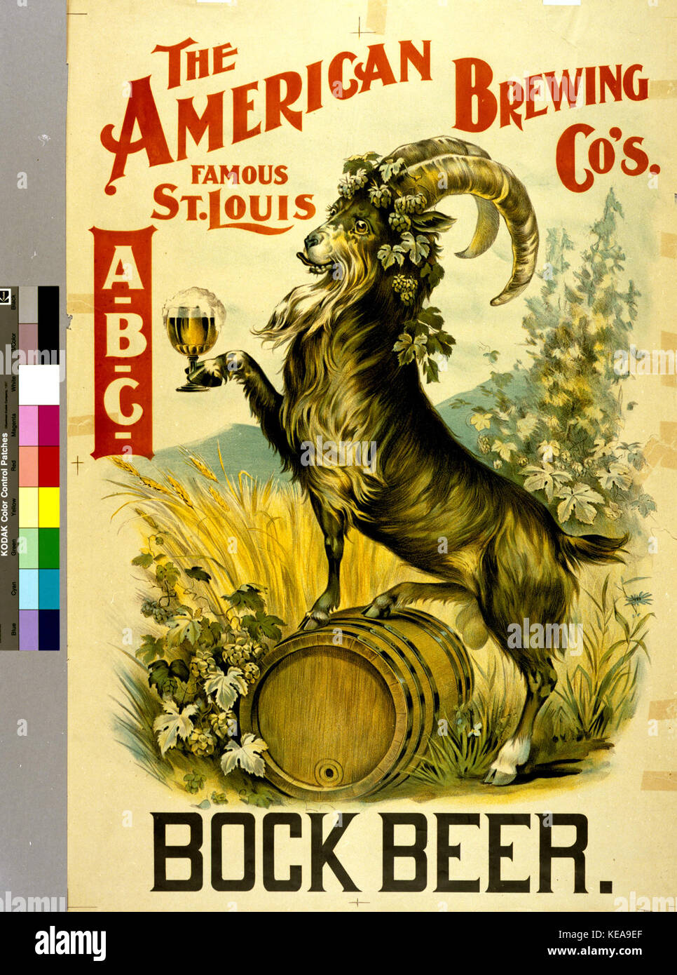 The American Brewing Co's Famous St. Louis ABC Bock Beer Stock Photo ...