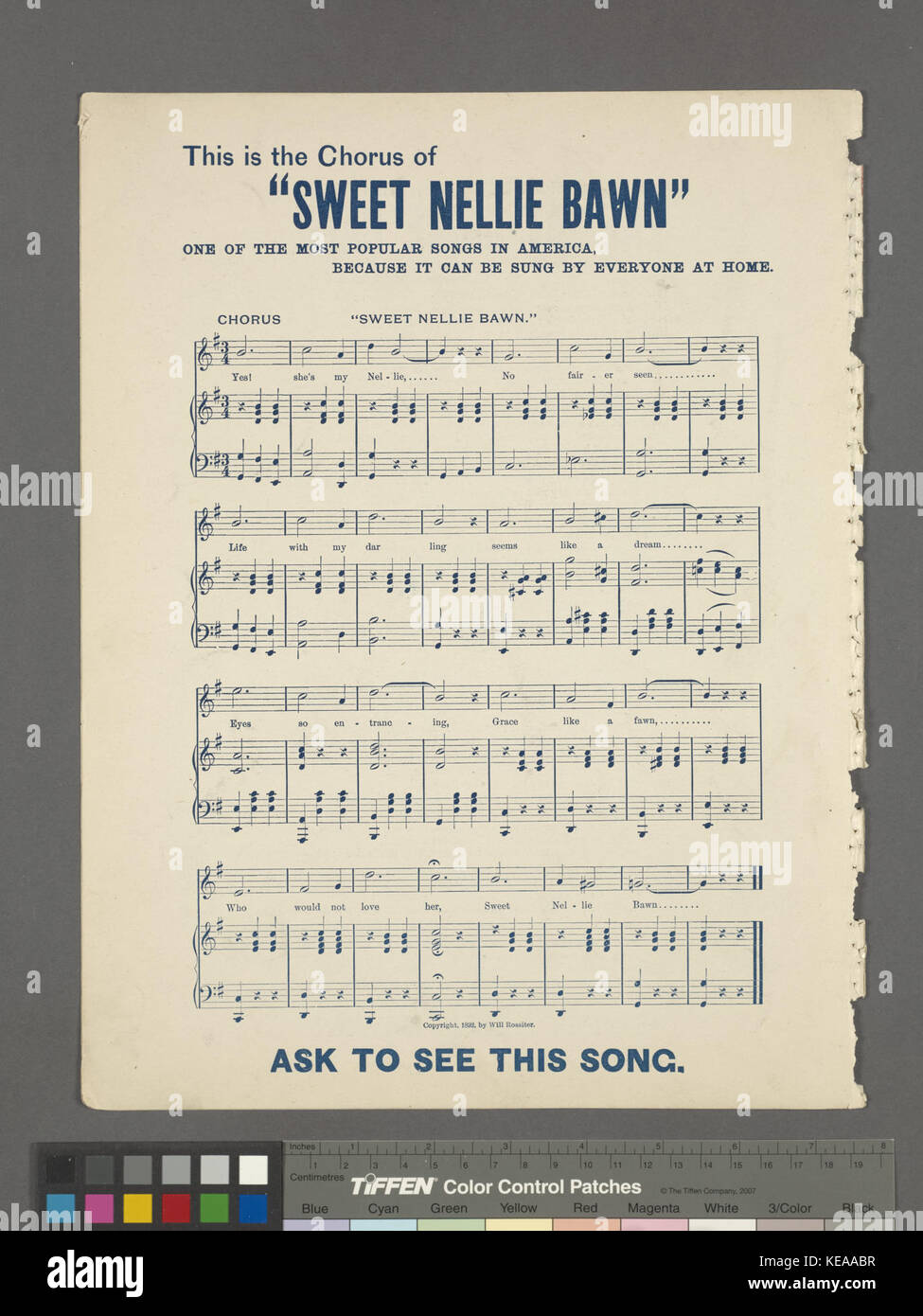 The cat came back (NYPL Hades 449136 1690569 Stock Photo - Alamy