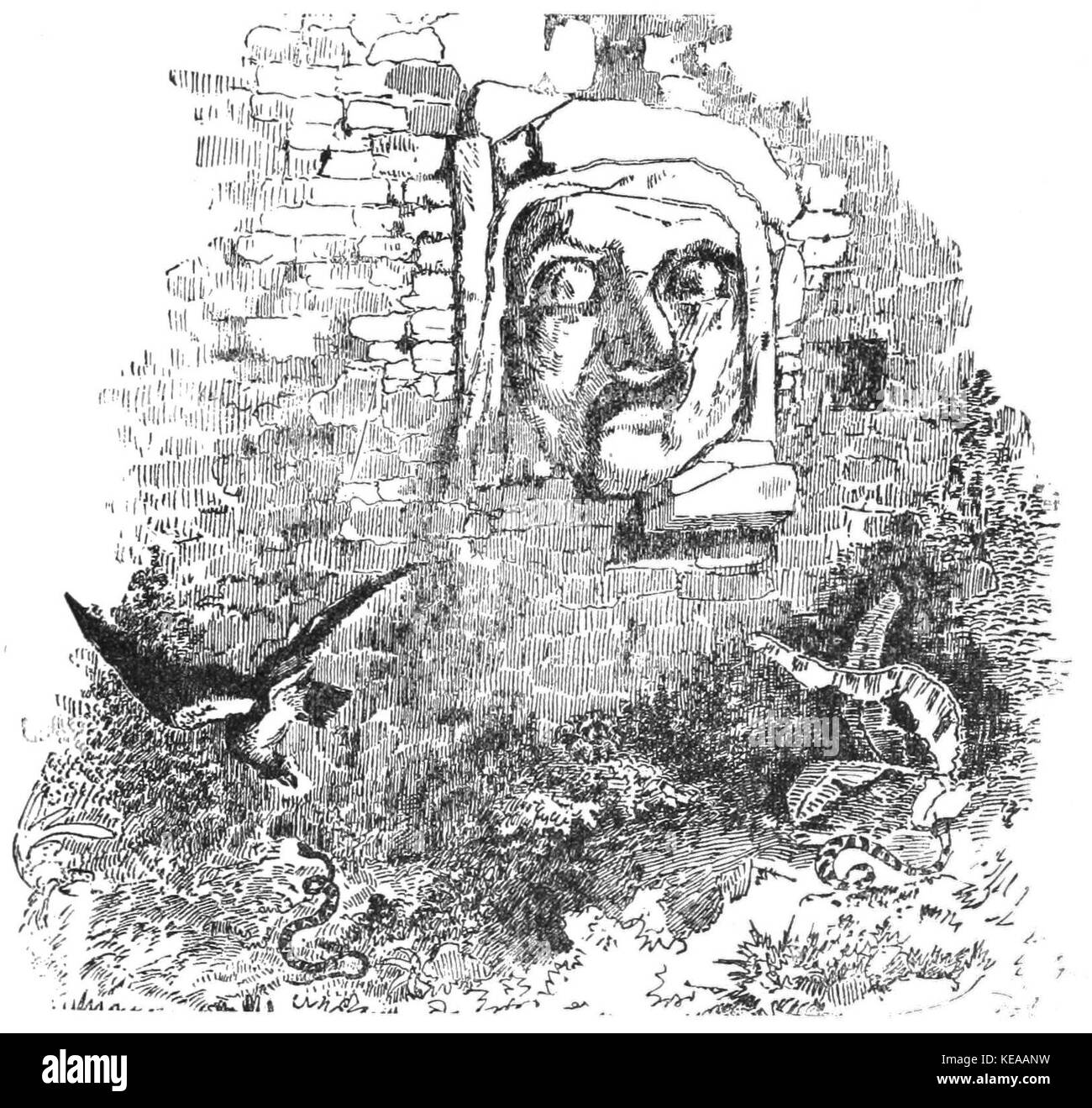 TLM D111 Gigantic head Stock Photo - Alamy