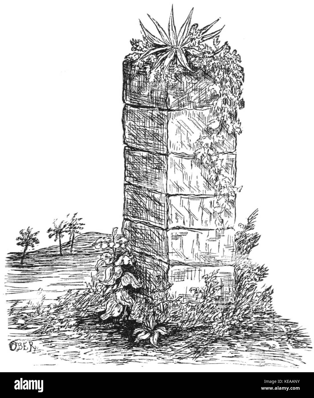 A decorative chapter end illustration from 'TLM D119,' likely part of a ...