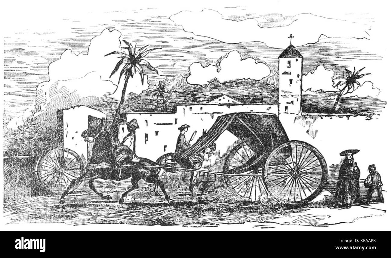 TLM D064 Yucatecan caleza and Cuban volante Stock Photo - Alamy