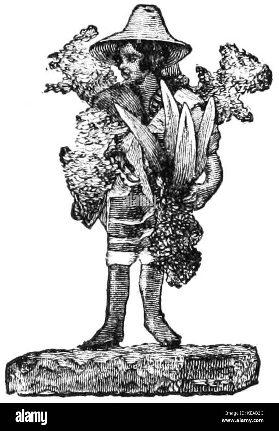 TLM D334 Chapter end decoration Stock Photo - Alamy