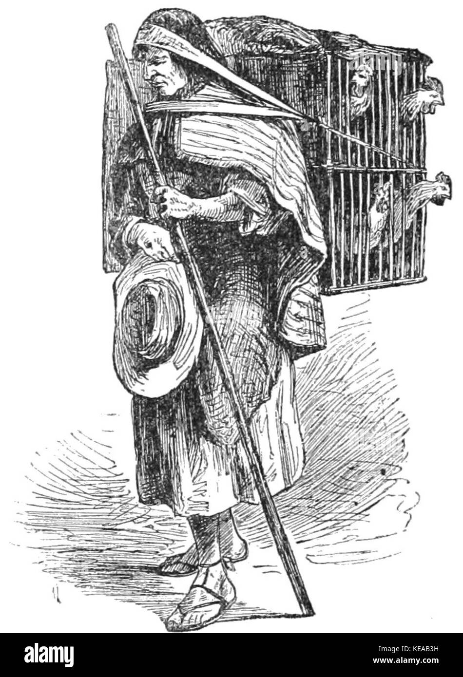 Chapter decoration hi-res stock photography and images - Alamy