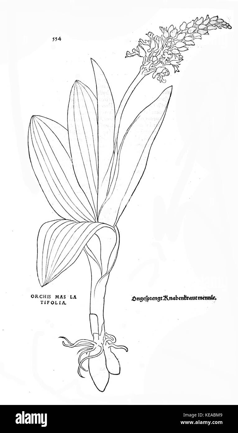 Painting location Cut Out Stock Images & Pictures - Alamy