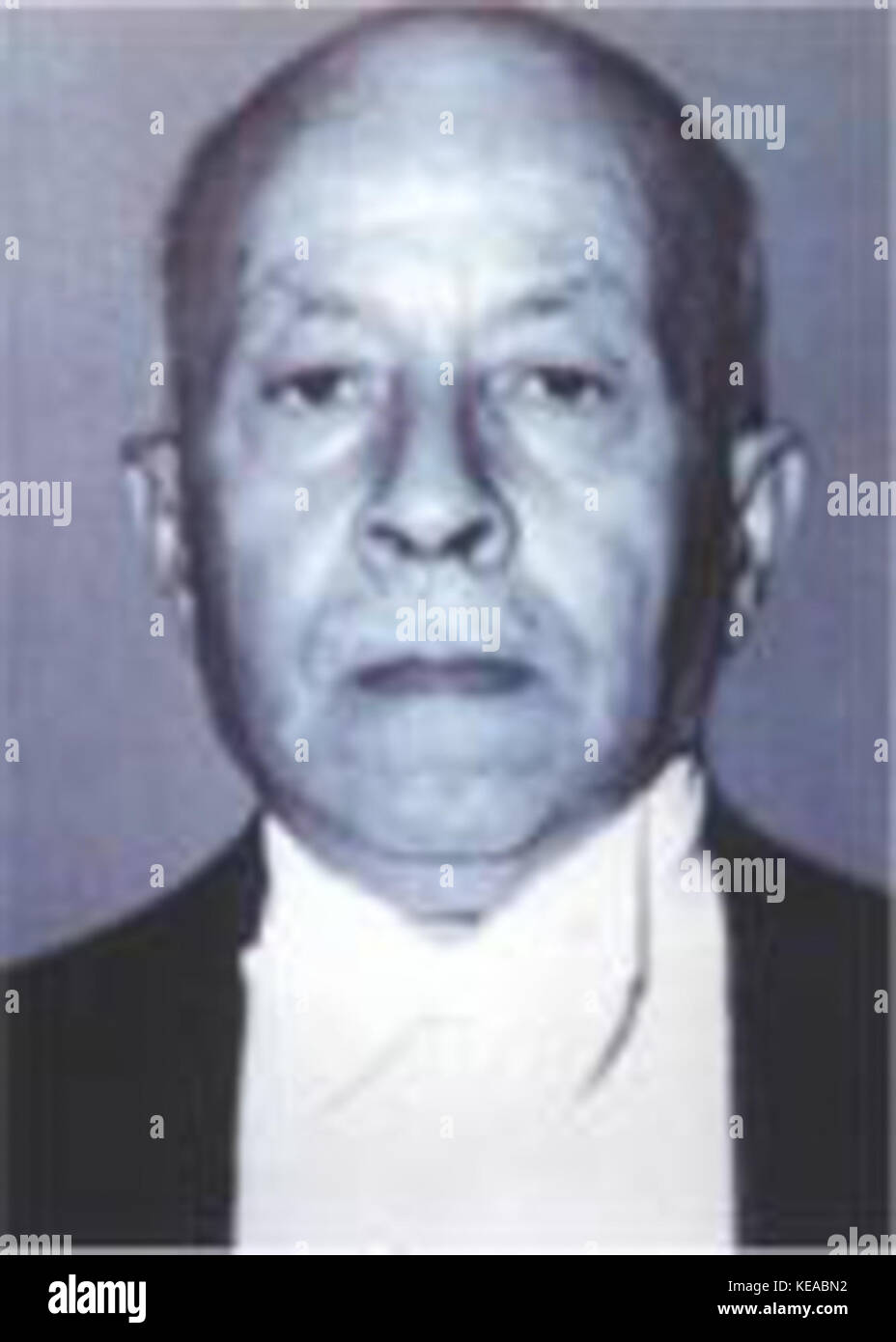 Toukan High Resolution Stock Photography and Images - Alamy