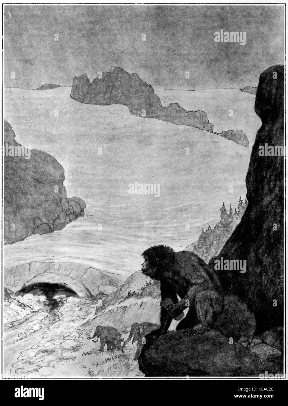 Grisly hi-res stock photography and images - Alamy