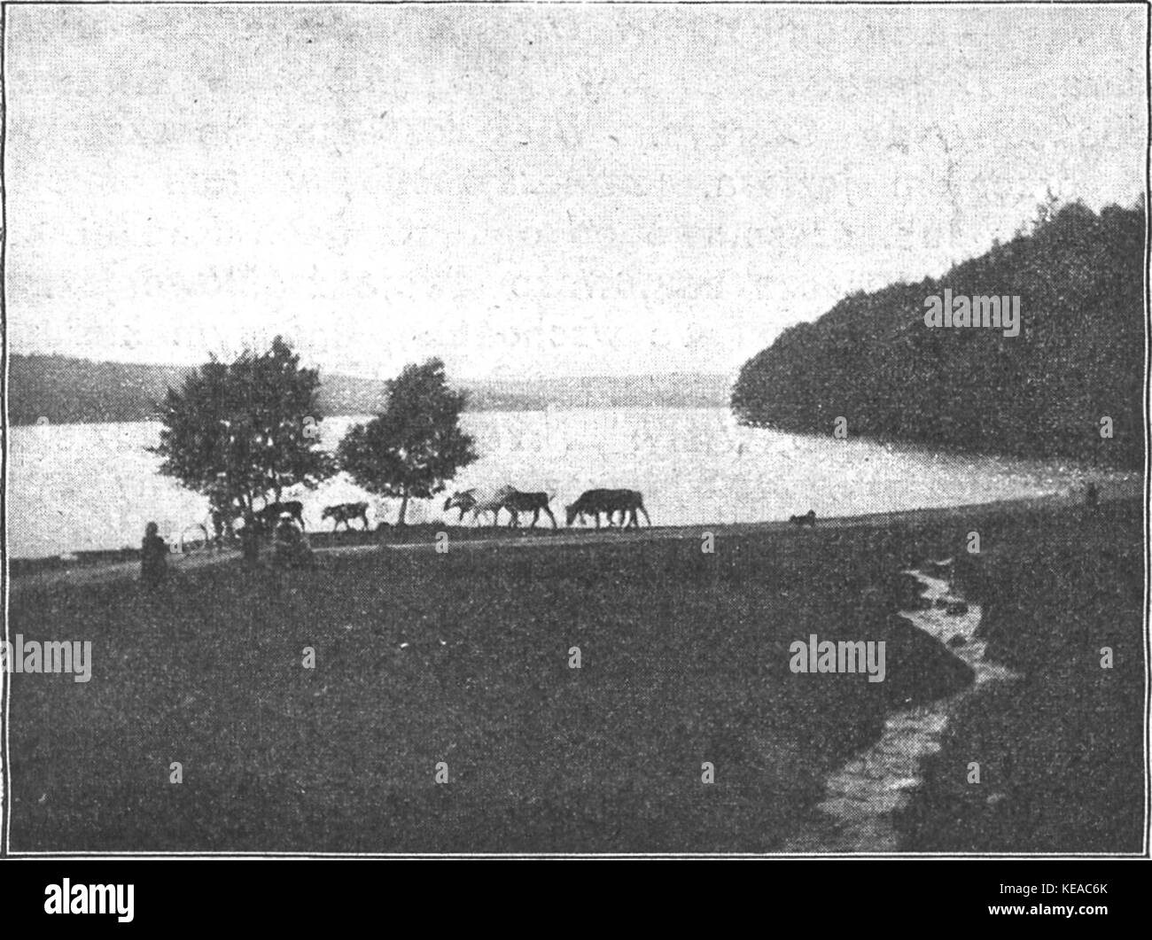 This illustration from page 85 of the 'Zdroje Raduni' book provides a ...