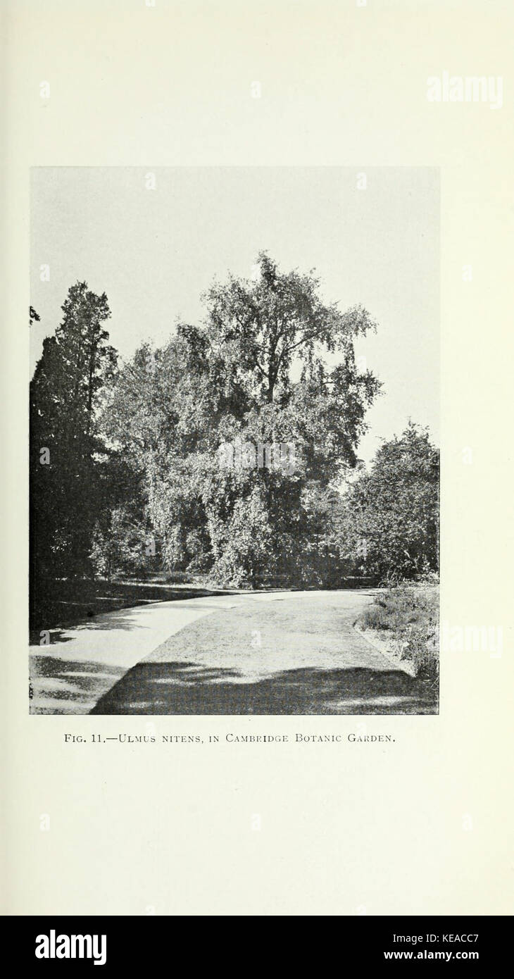 Old botanic garden cambridge hi-res stock photography and images - Alamy