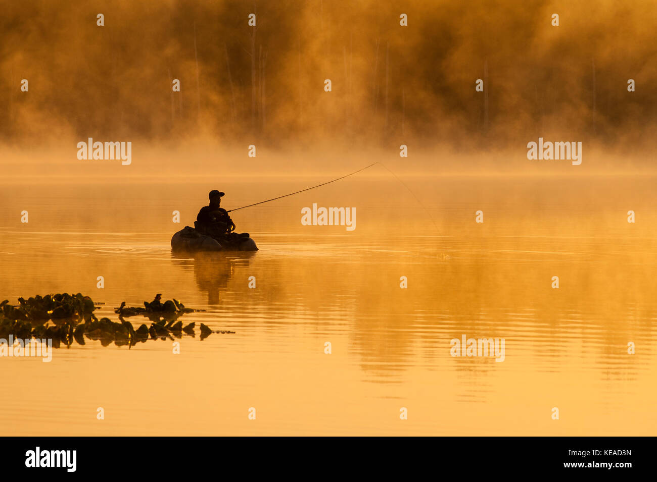 Fisherman on Lake Cassidy casting his line earlysunre and morning fog ...