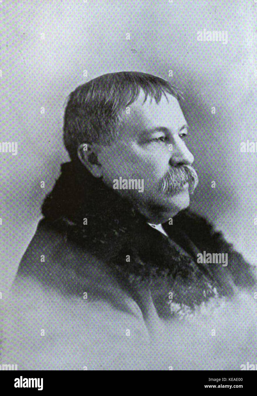 William Dean Howells's Picture Stock Photo - Alamy