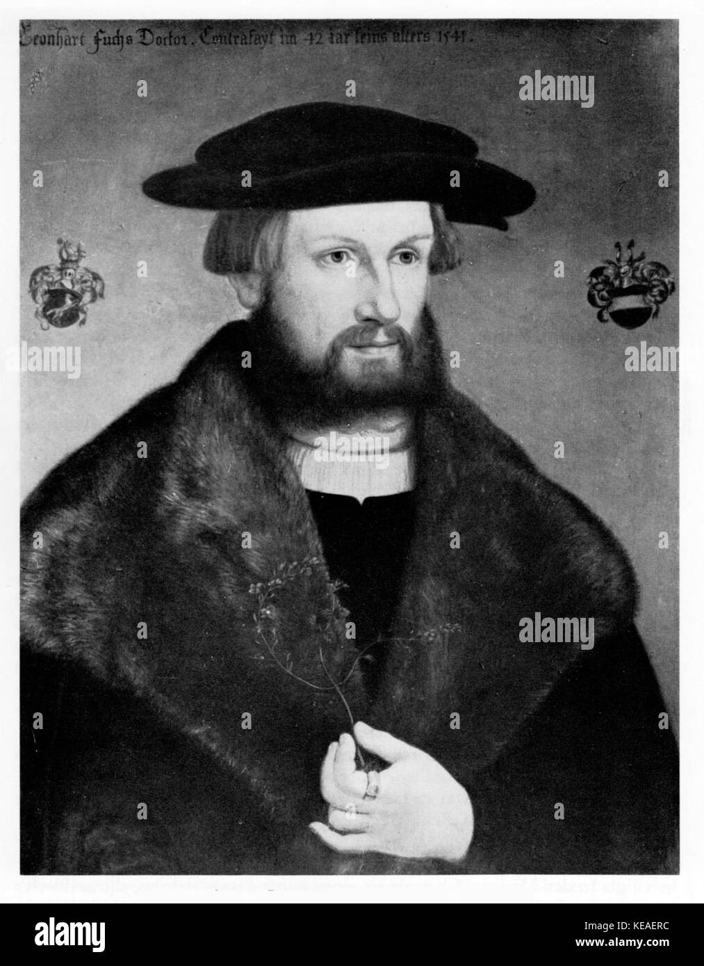 Fuchs illustration Black and White Stock Photos & Images - Alamy