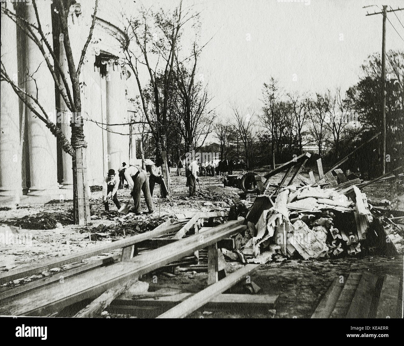 Workers planting trees and doing landscaping work near the Palace of ...