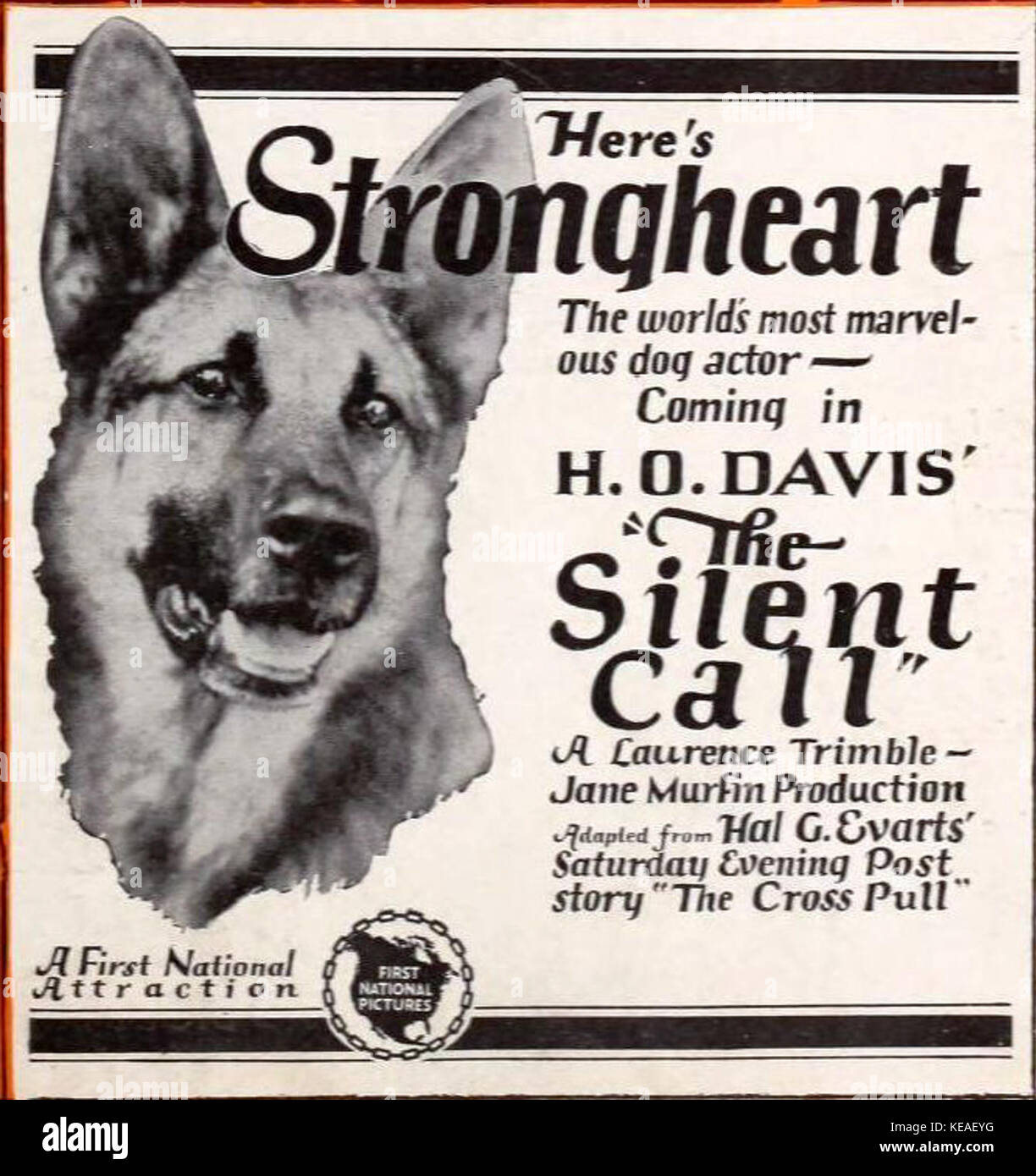 The Silent Call (1921) 5 Stock Photo - Alamy