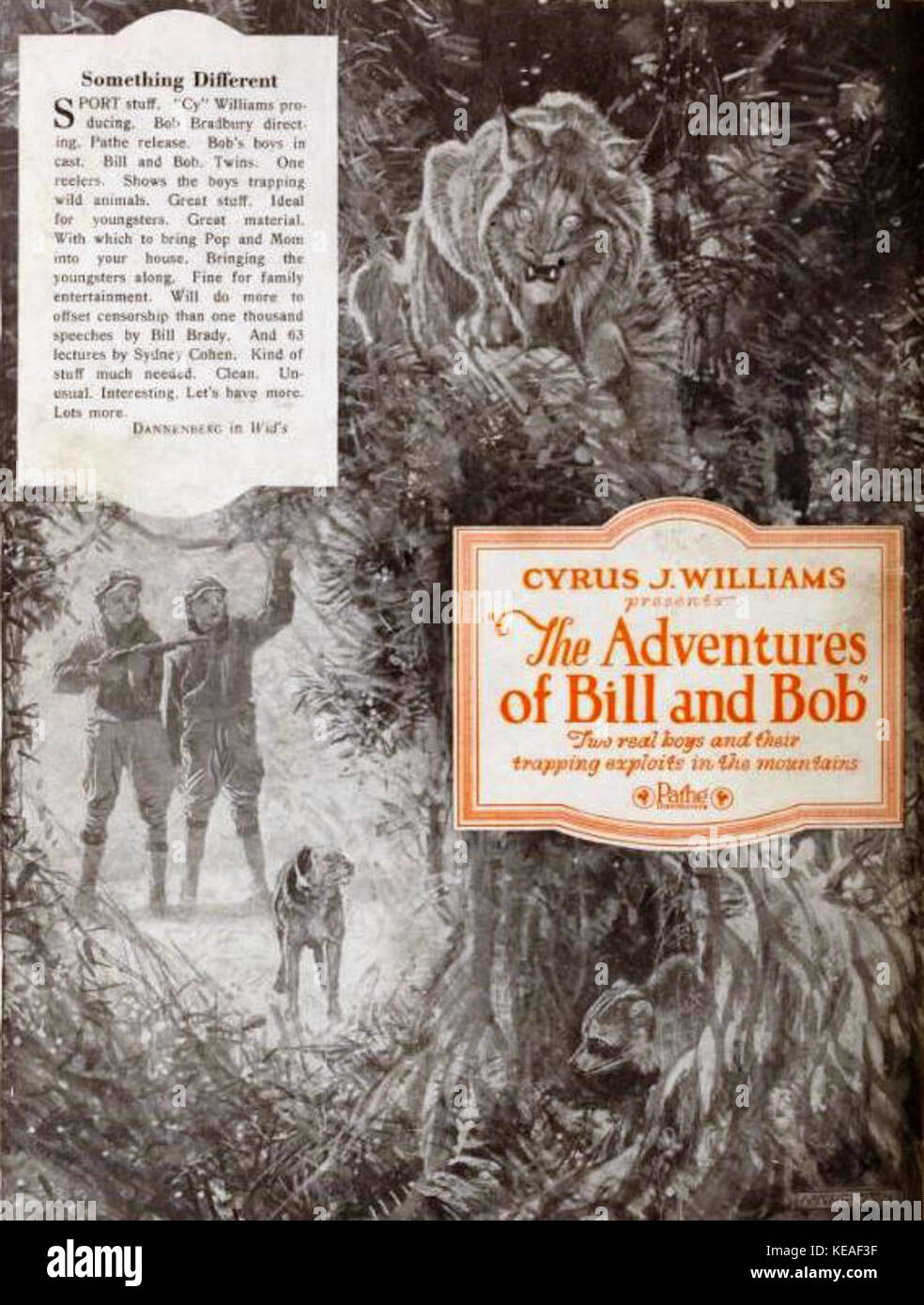 The Adventures of Bob and Bill (1920) 1 Stock Photo - Alamy