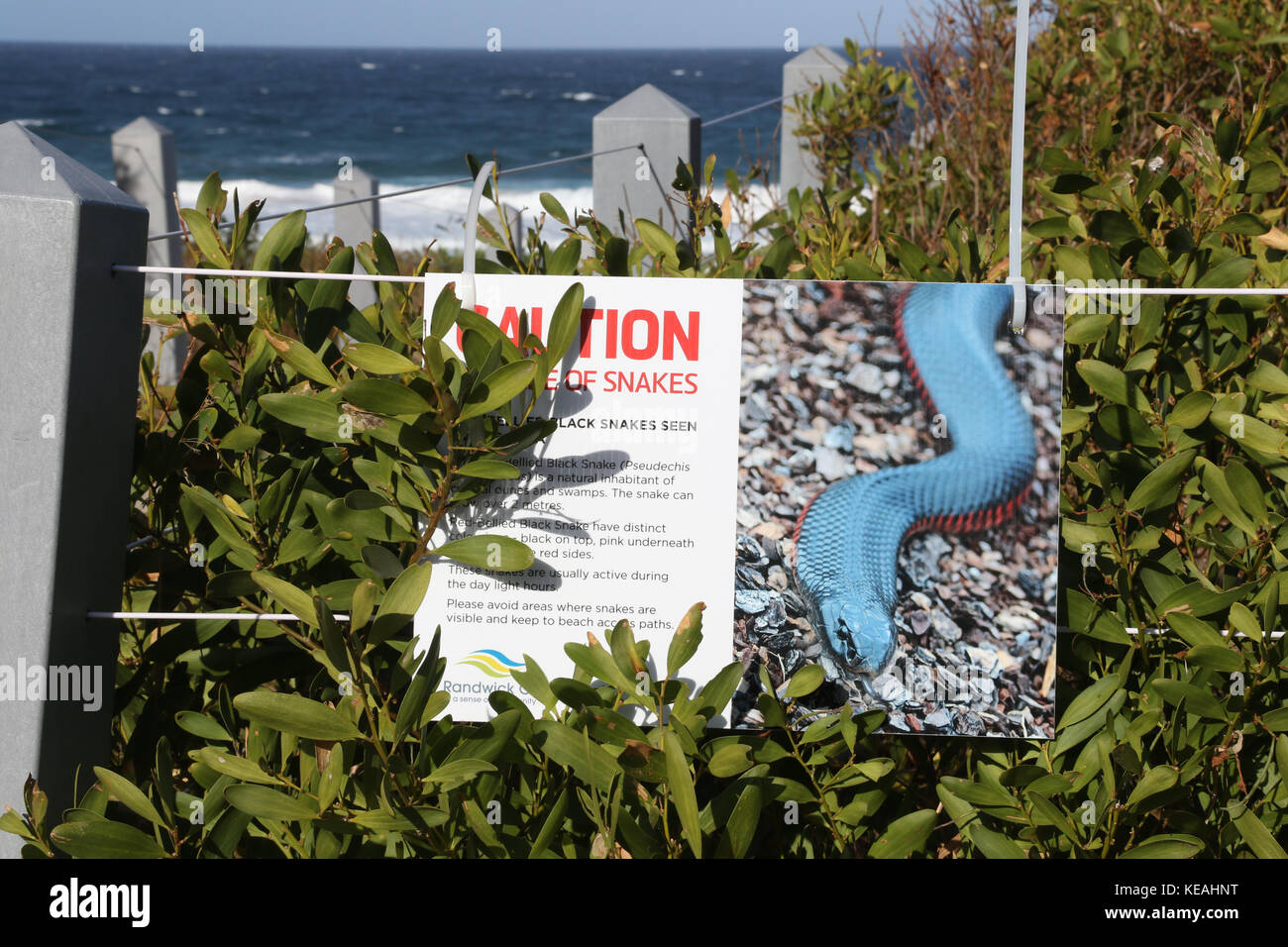 Snake warning sign australia hi-res stock photography and images - Alamy