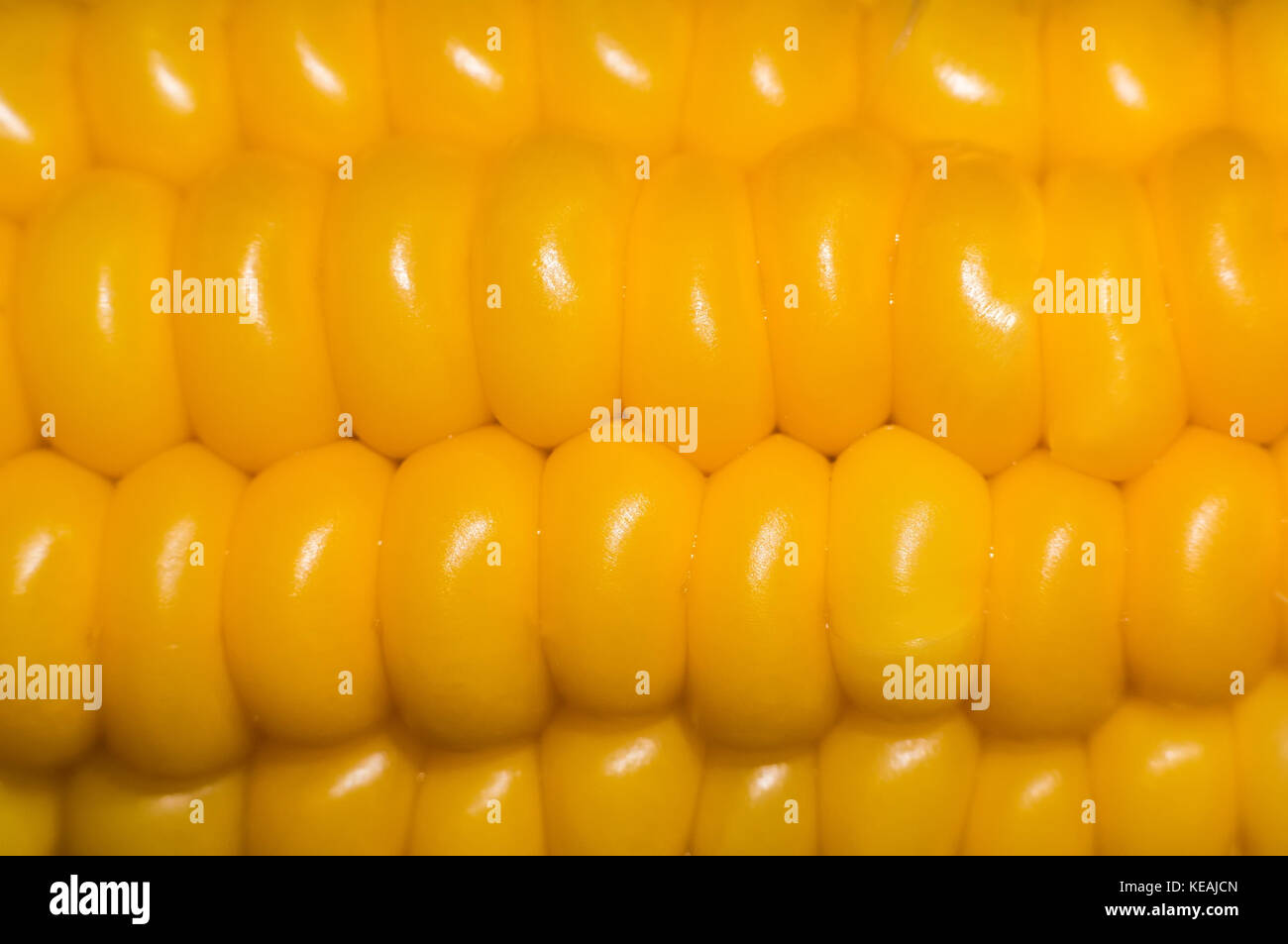 Sweet corn background. Orange boiled corn closeup macro Stock Photo - Alamy