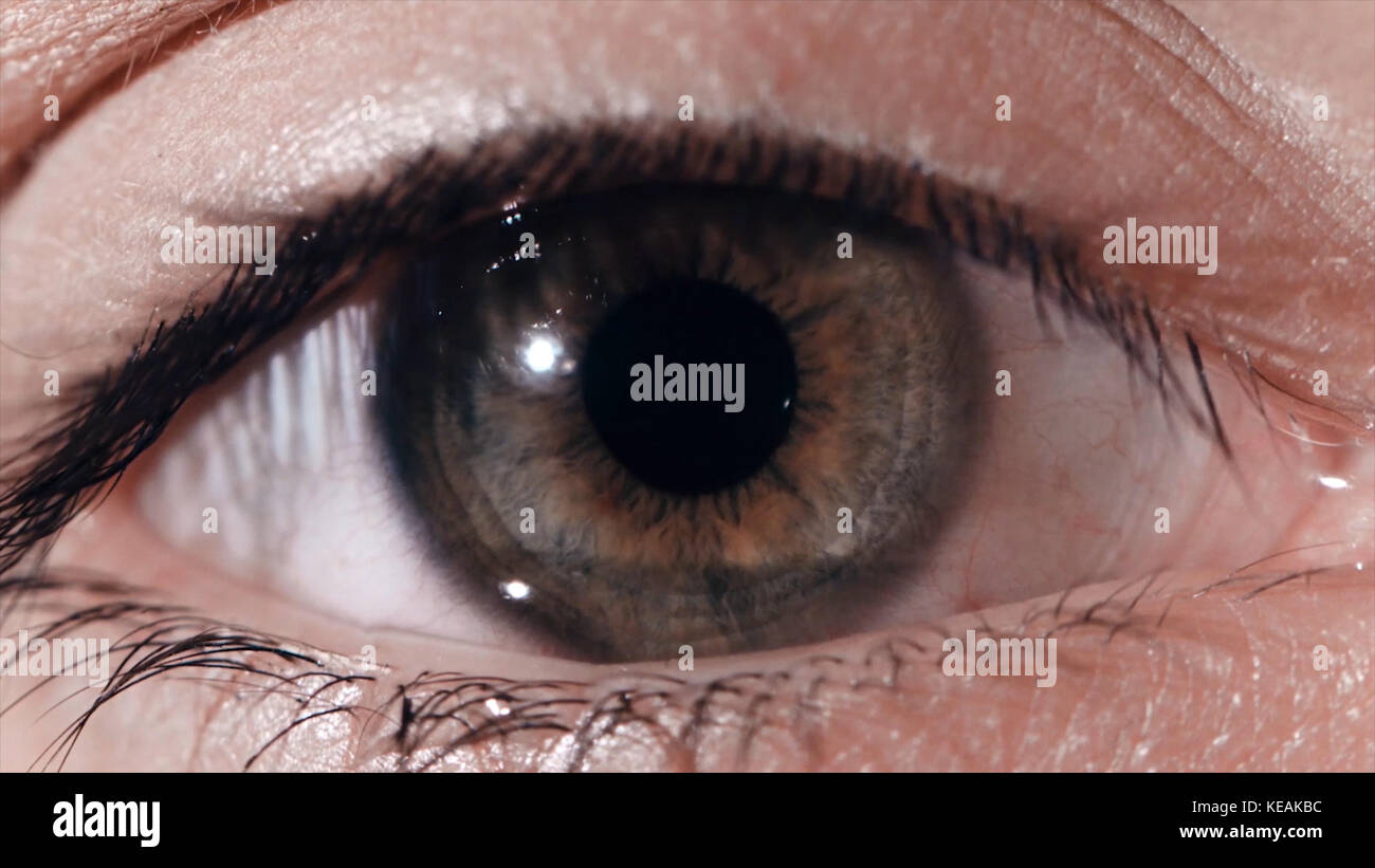 Eye pupil reaction to light. Humans eye macro shot with light-flash ...