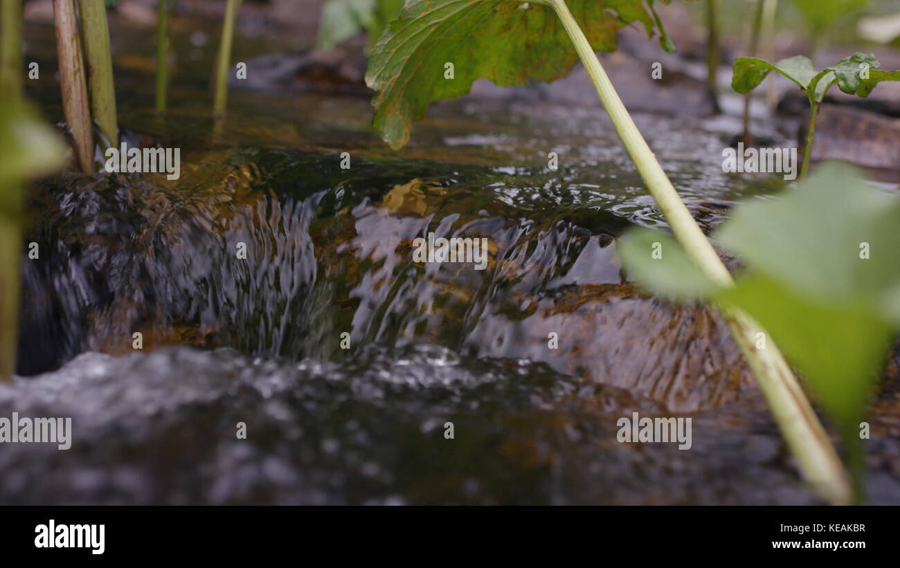 Water splash in river. Water in river close up with bubbles. Water ...