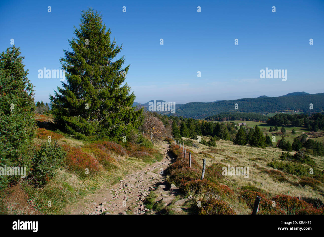 Path at the gazon du Faing in the Vosges mountains in France Stock ...