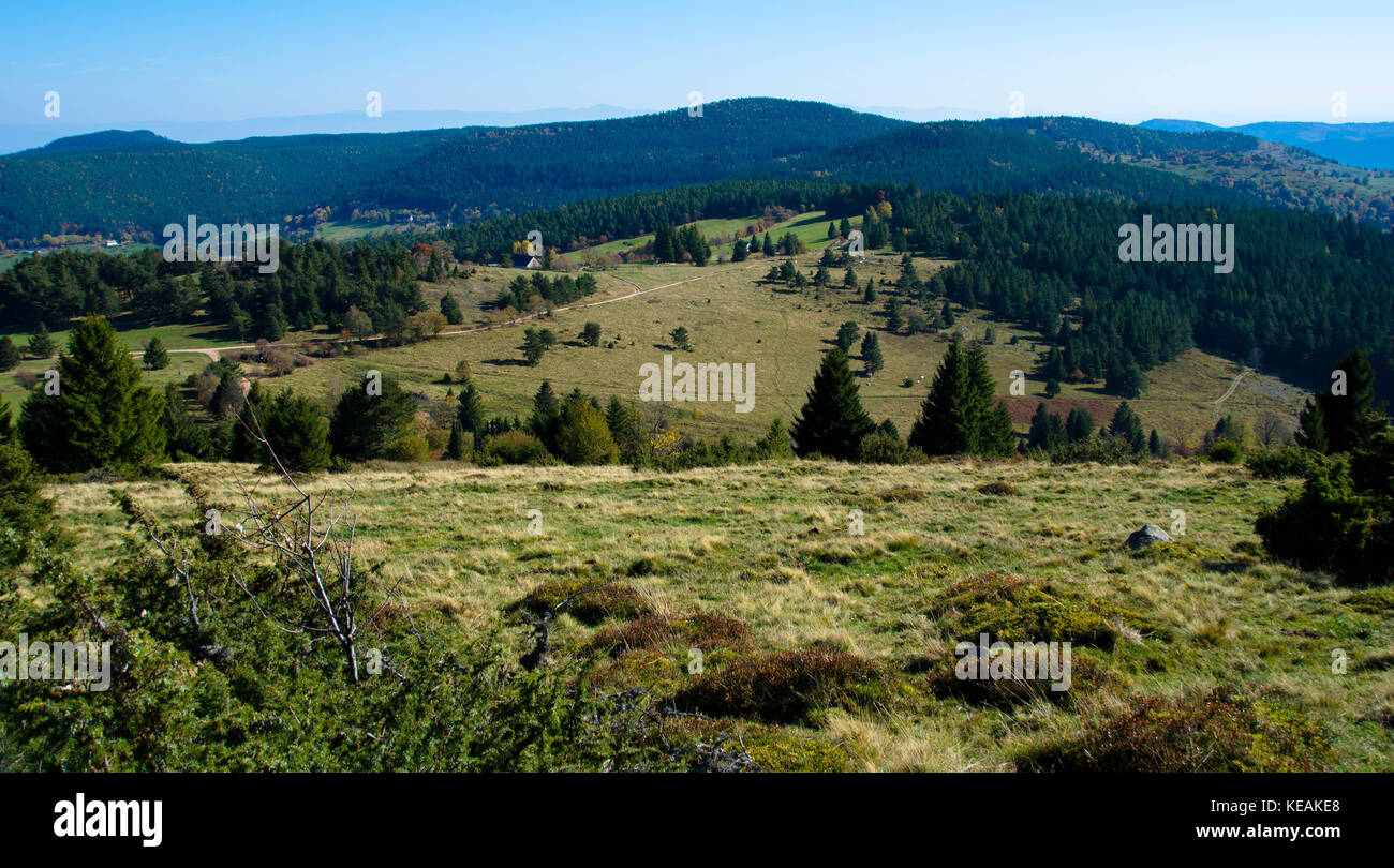 Valley in the french Vosges in autumn Stock Photo - Alamy