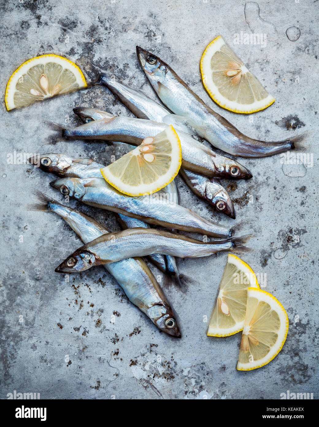 Fresh catch Shishamo fish fully eggs . Shishamo fish is popular fish ...