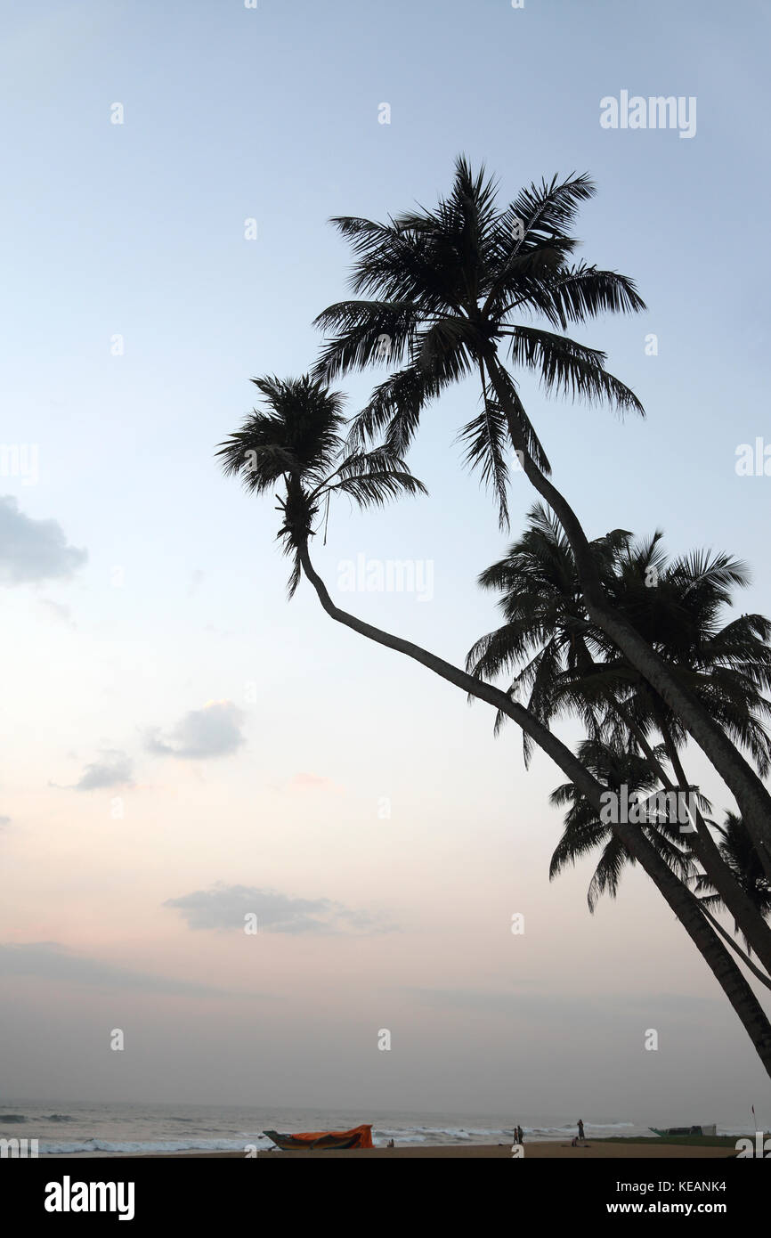 Wadduwa Western Province Sri Lanka Beach At Sunset Stock Photo - Alamy