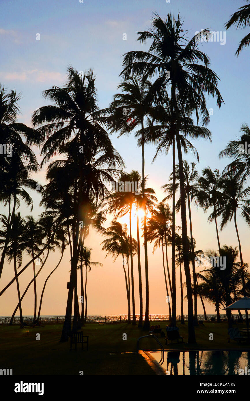 Wadduwa Western Province Sri Lanka Sunset through Palm Trees at Blue ...