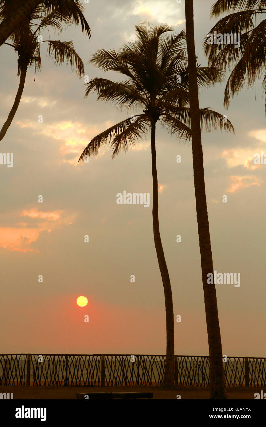 Wadduwa Western Province Sri Lanka Sunset through Palm Trees at Blue ...
