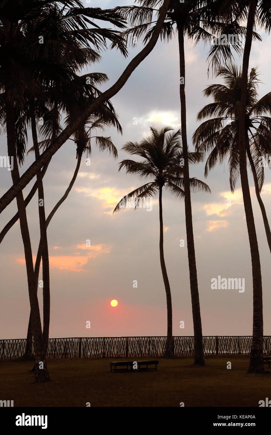 Wadduwa Western Province Sri Lanka Sunset through Palm Trees at Blue ...