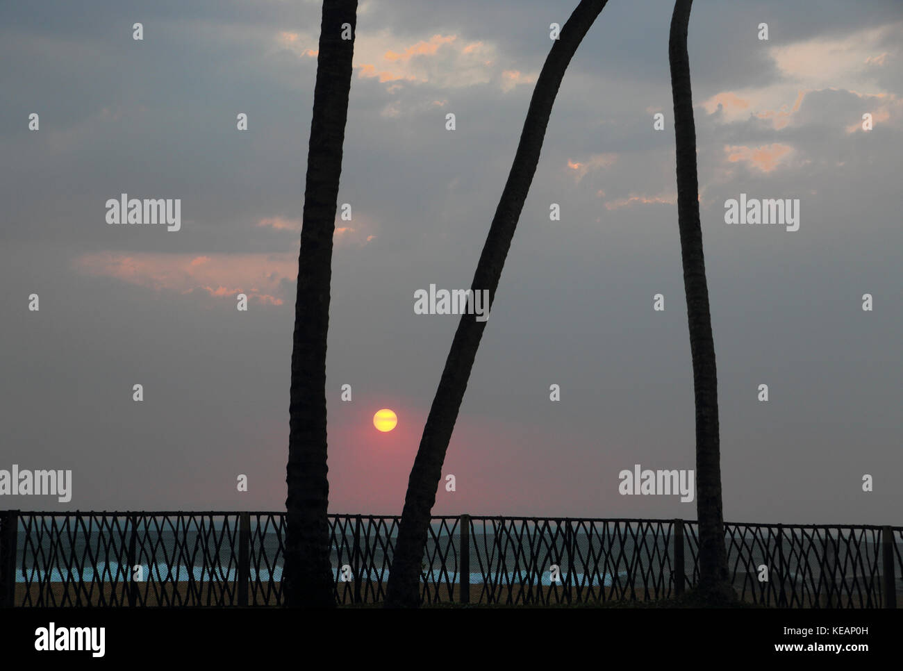 Wadduwa Western Province Sri Lanka Sunset through Palm Trees at Blue ...