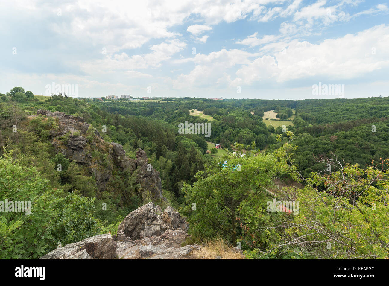 Lush gorge viewed from the rocky top at the Divoka Sarka on a sunny day ...