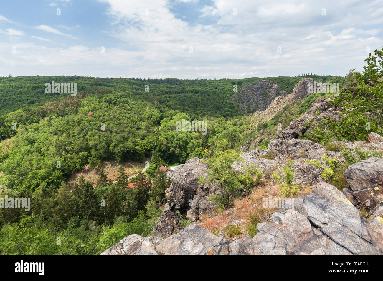 Lush gorge viewed from the rocky top at the Divoka Sarka on a sunny day ...