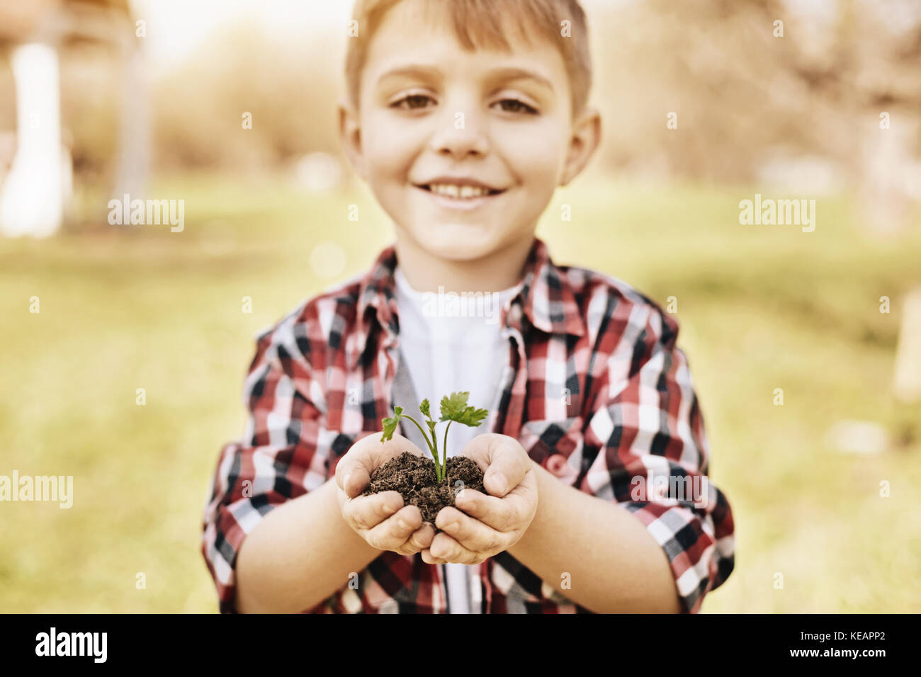 Portrait of handsome kid that posing on camera Stock Photo - Alamy