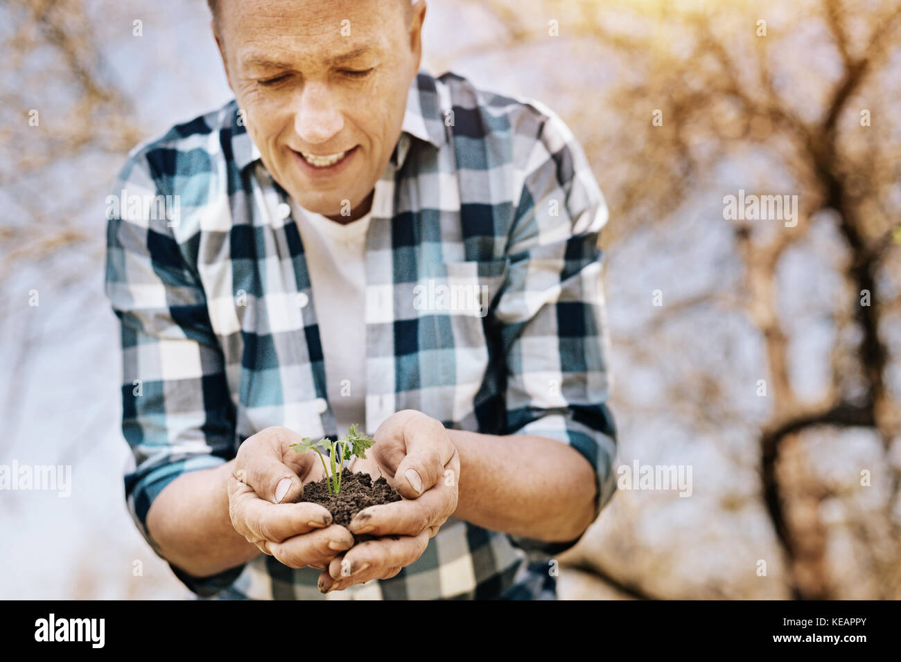 Tender man holding sprout in both hands Stock Photo - Alamy