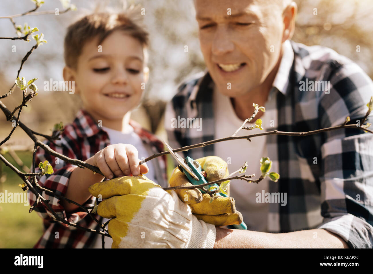 Joyful kid helping his father in the garden Stock Photo - Alamy