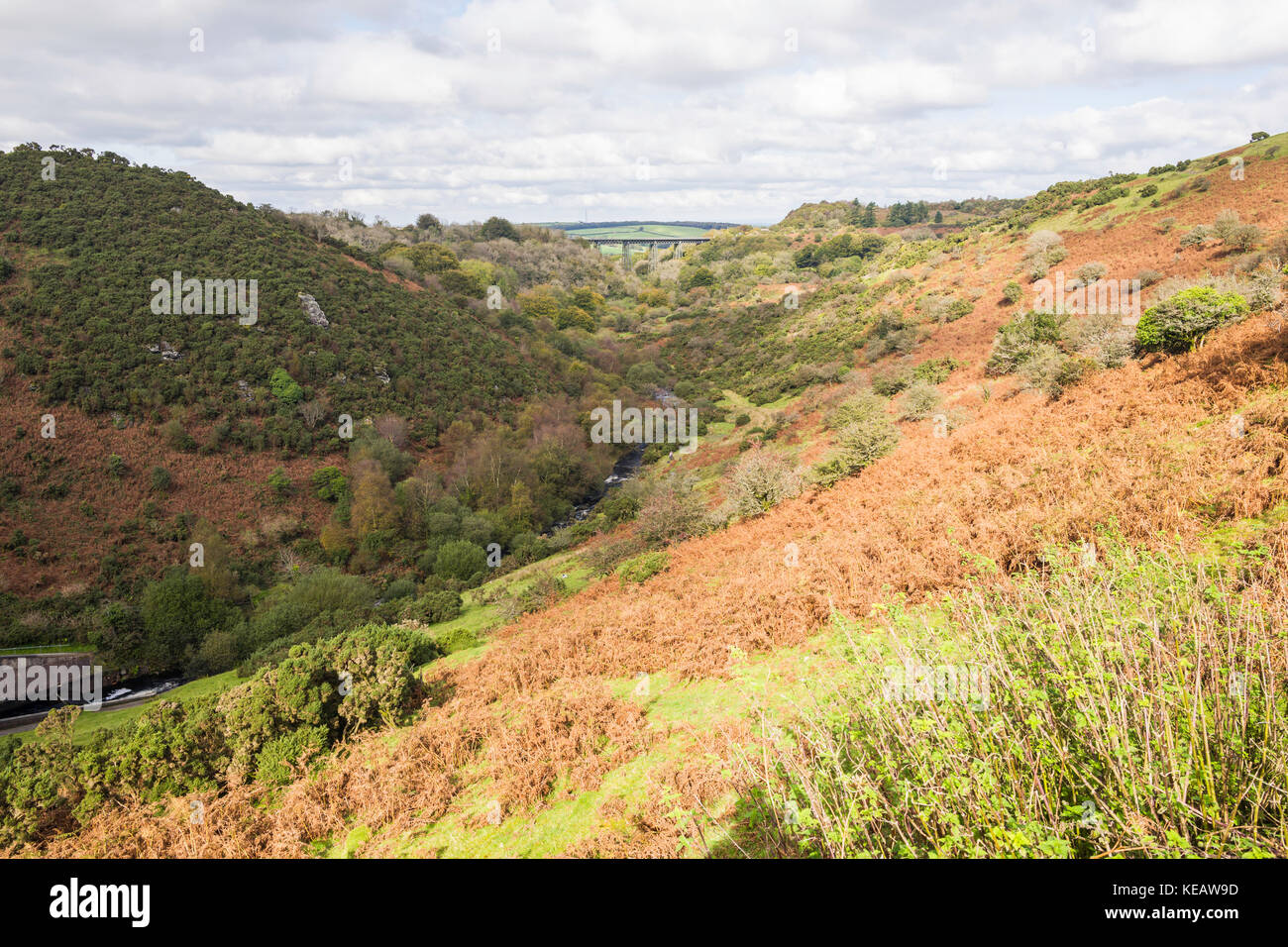 View north from Meldon Reservoir Dam, down the valley of the West ...