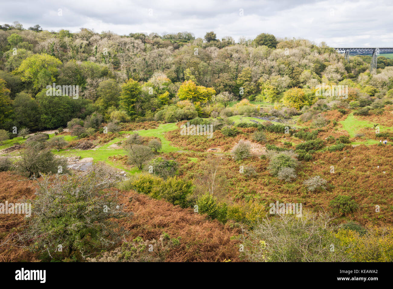 Meldon quarry hi-res stock photography and images - Alamy