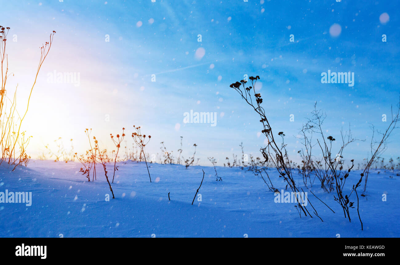 snowy winter landscape; frozen field; ice and snow Stock Photo - Alamy