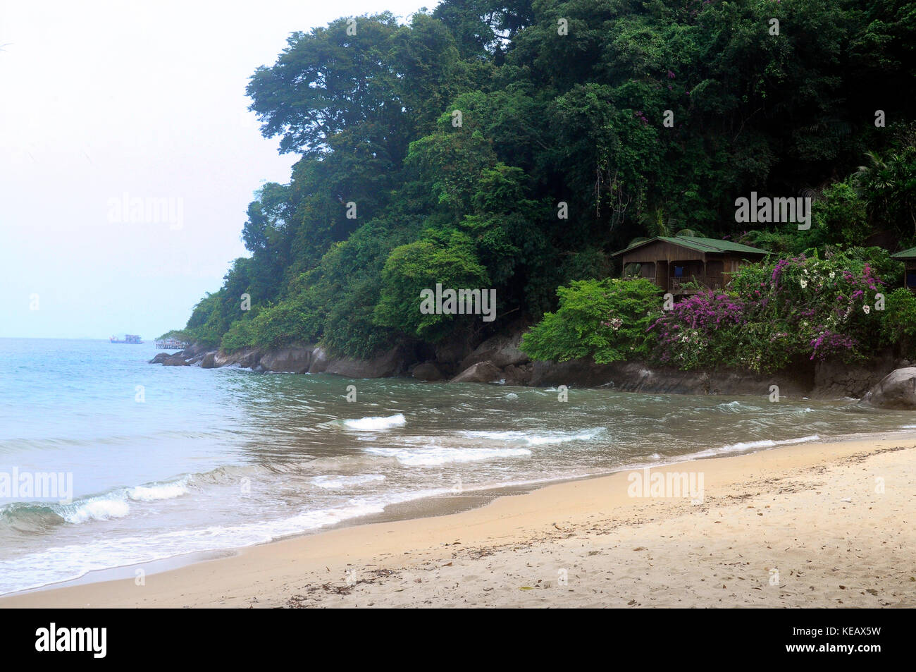 Jungle tioman island hi-res stock photography and images - Alamy