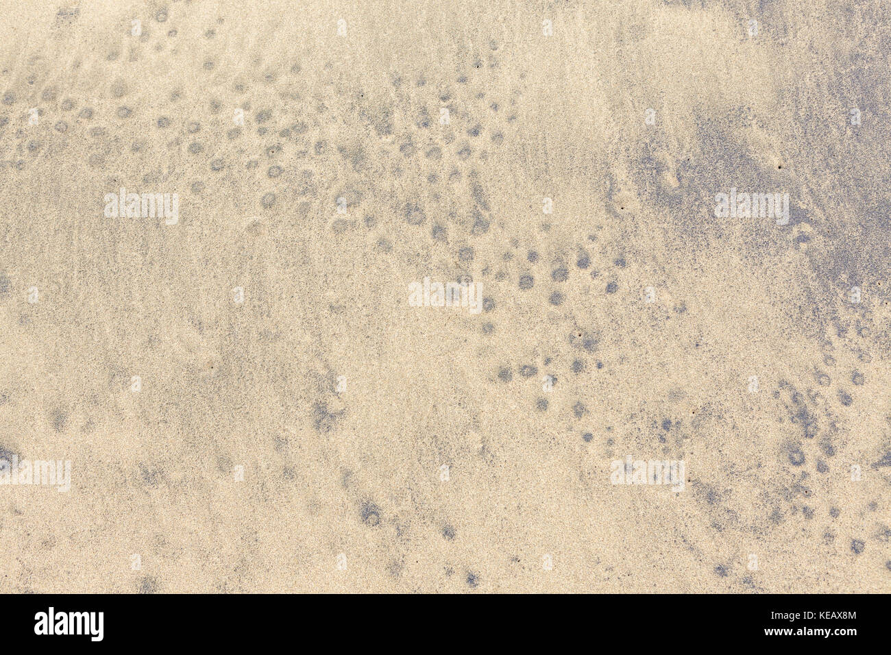 Wet sand patterns Stock Photo - Alamy