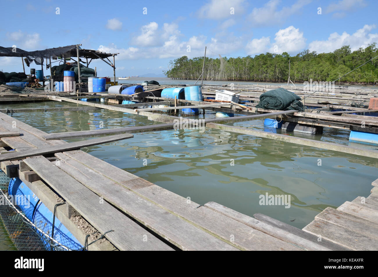 Kelong, offshore platform, built predominantly with woodby fishermen ...