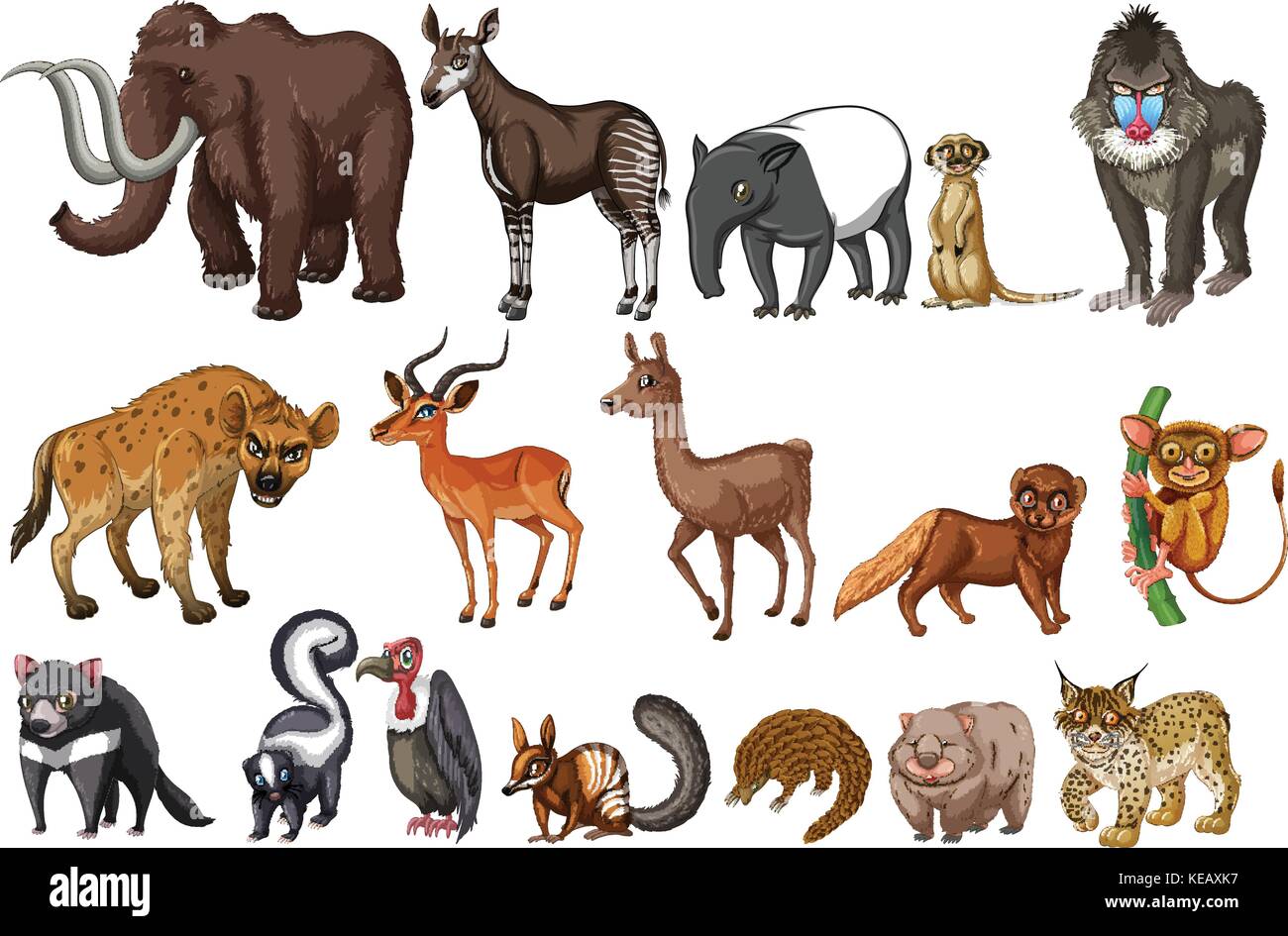 Different kinds of rare animals Stock Vector Image & Art - Alamy