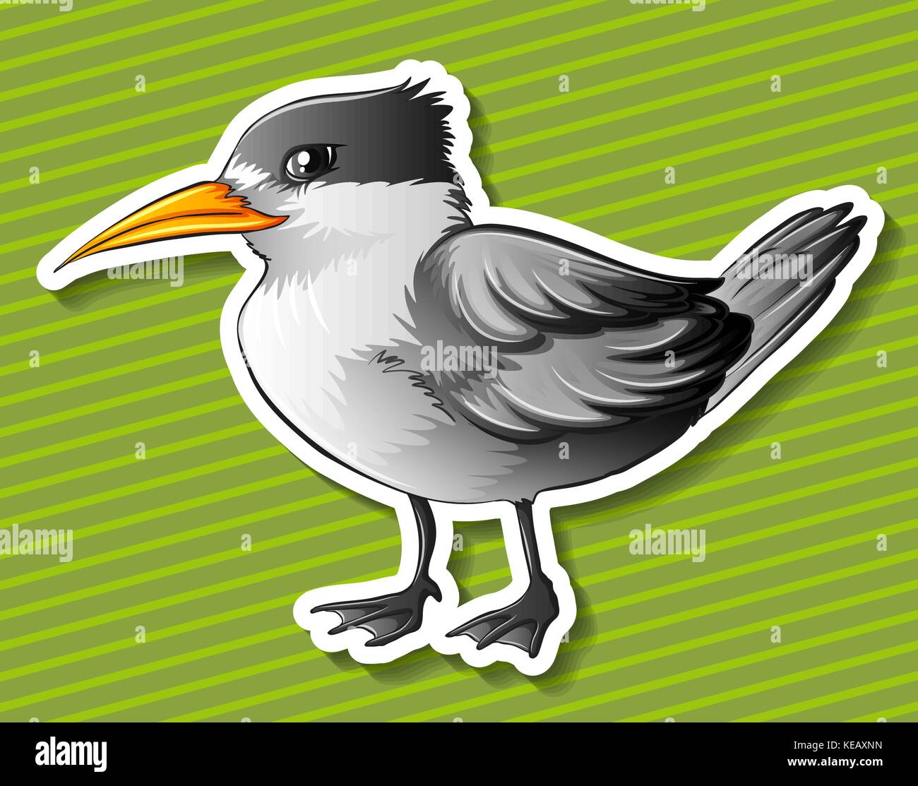 Closeup gray bird with green background Stock Vector Image & Art - Alamy