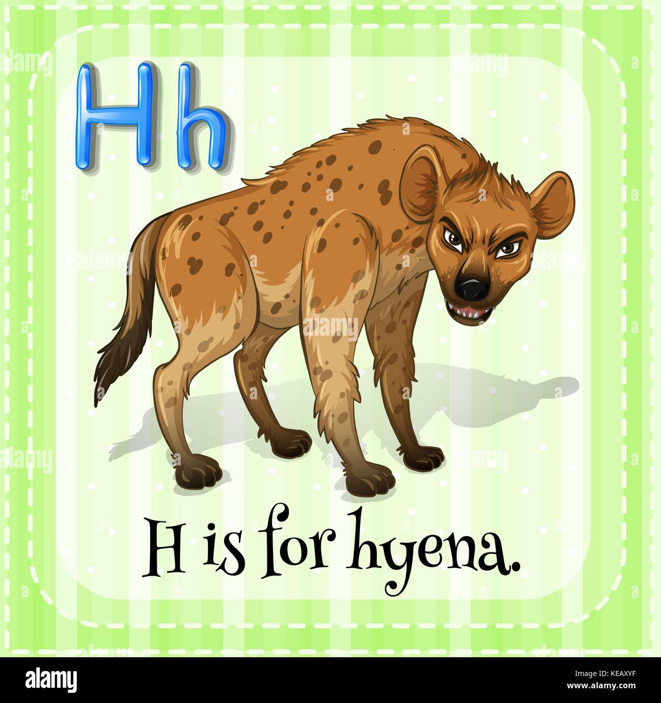 Alphabet H is for hyena Stock Vector Image & Art - Alamy