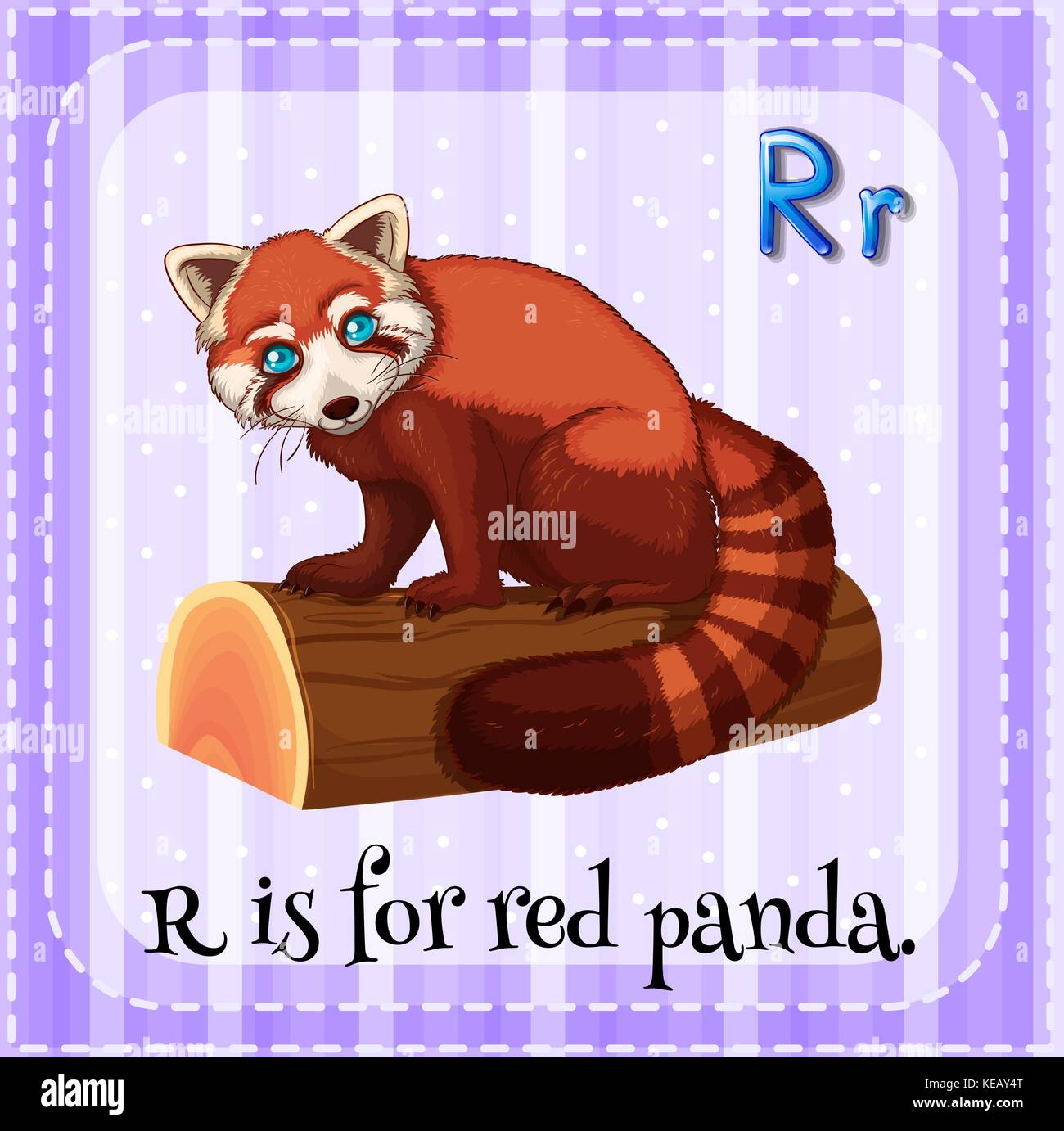 Flashcard letter R is for red panda Stock Vector Image & Art - Alamy