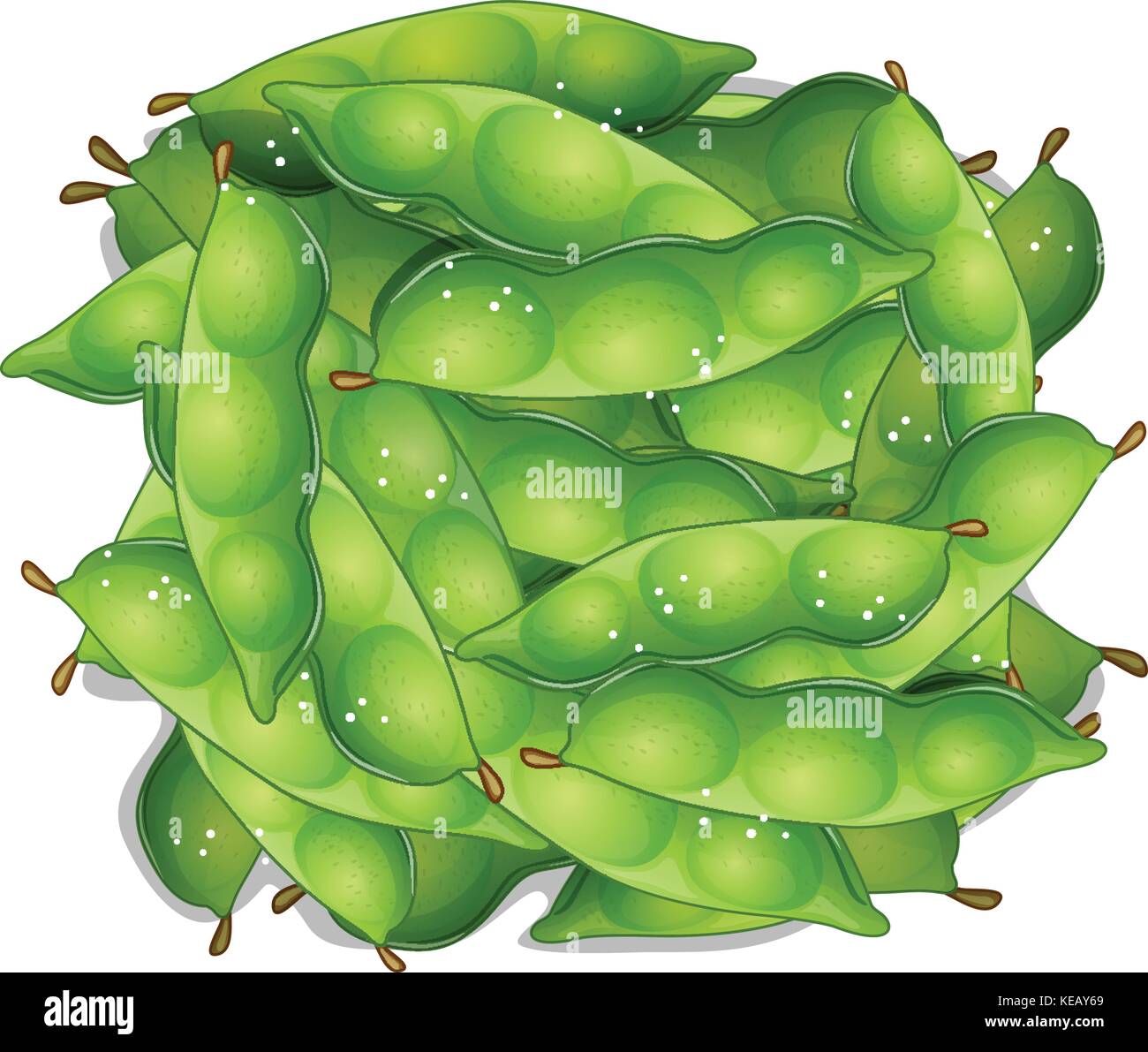 Illustration of a bunch of edamame Stock Vector Image & Art - Alamy